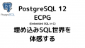 【postgresql】ECPG（埋め込みSQL）を体験する | アフターファイブ改革